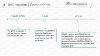 CRISPR Cas9 and Mouse Models | PPT