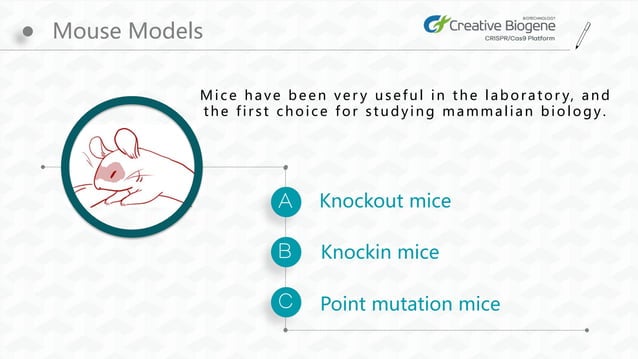 CRISPR Cas9 and Mouse Models | PPT