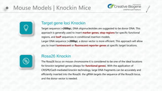CRISPR Cas9 and Mouse Models | PPT