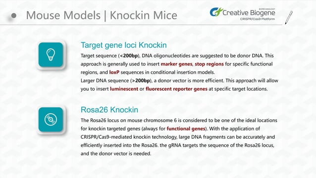 CRISPR Cas9 and Mouse Models | PPT