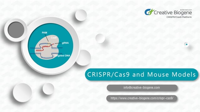 CRISPR Cas9 and Mouse Models | PPT