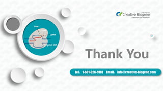 CRISPR Cas9 and Mouse Models | PPT