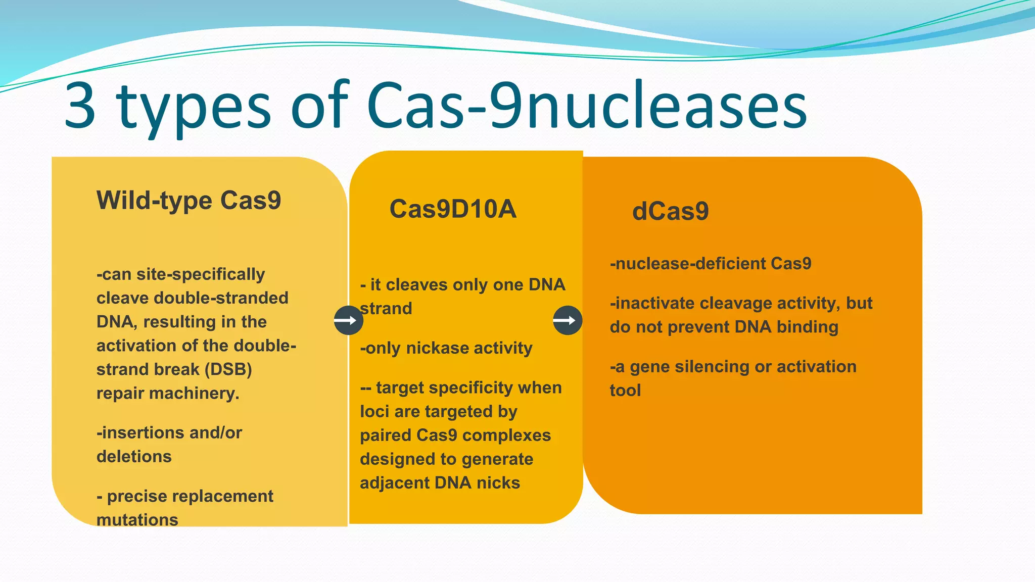 Crispr cas9 ppt (1) | PPTX
