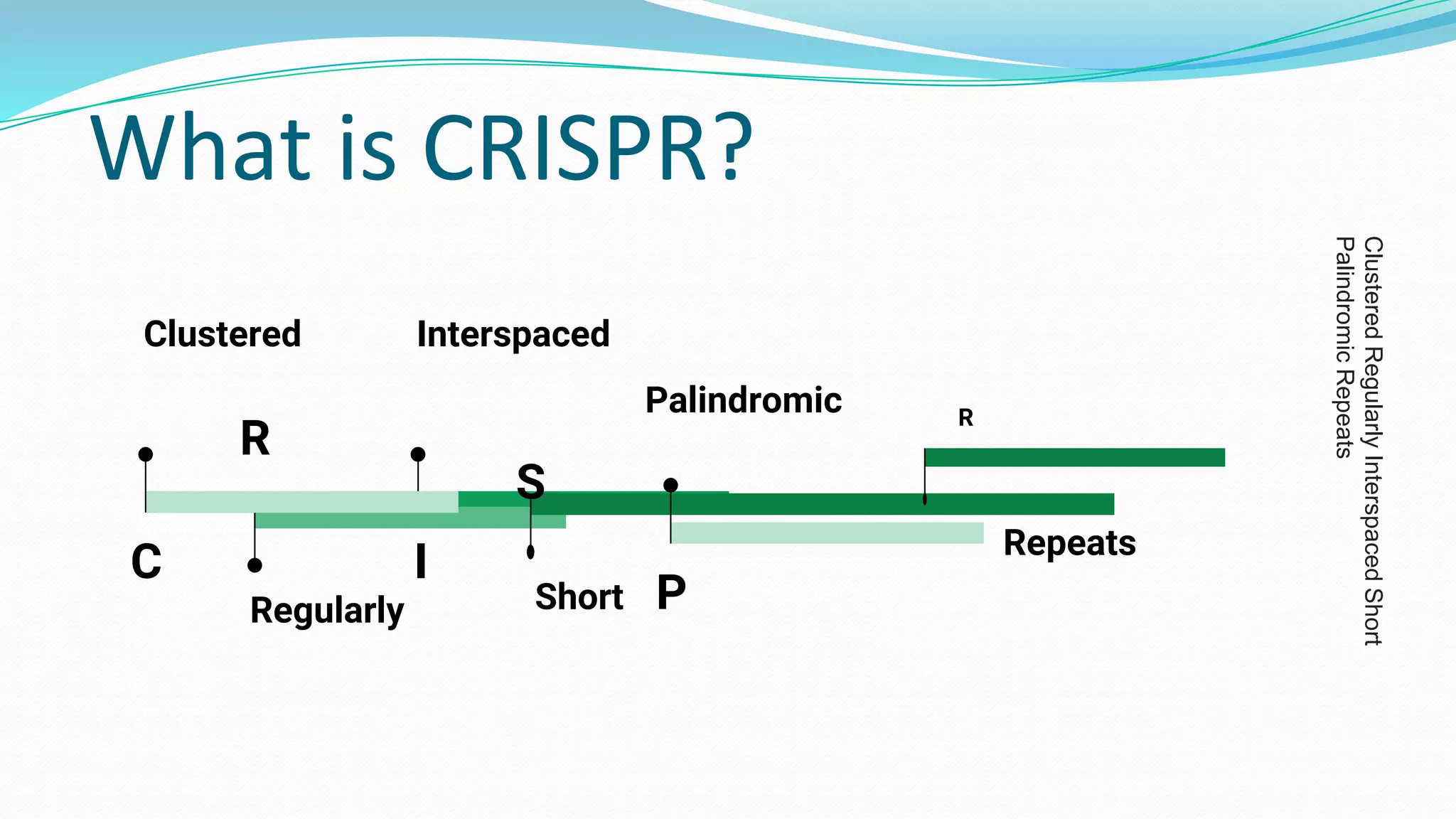 Crispr cas9 ppt (1) | PPTX