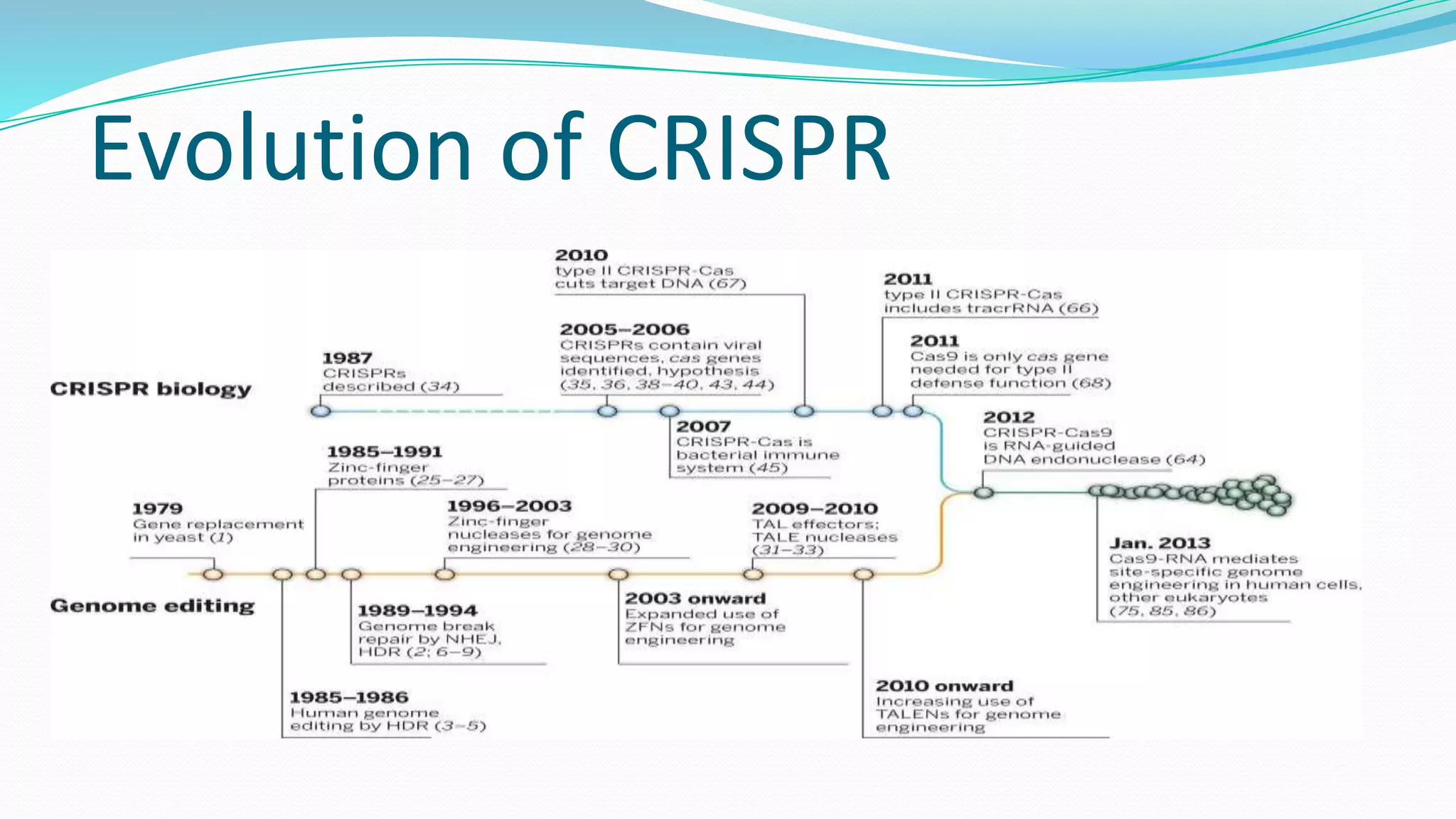 Crispr cas9 ppt (1) | PPTX