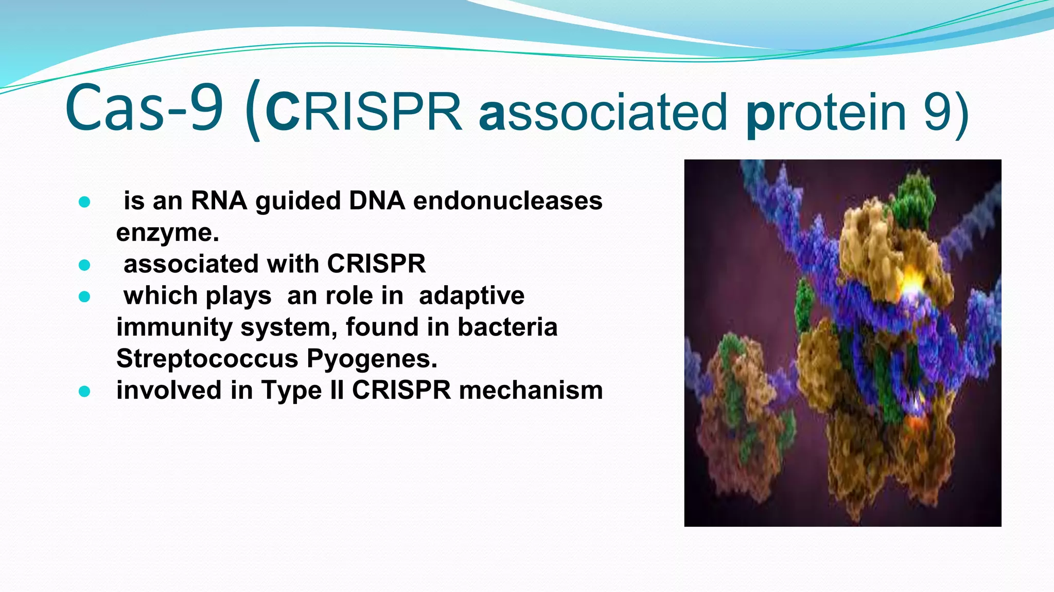 Crispr cas9 ppt (1) | PPTX