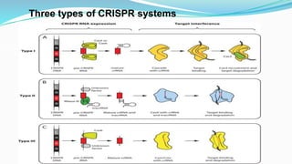 Crispr cas9 ppt (1) | PPTX