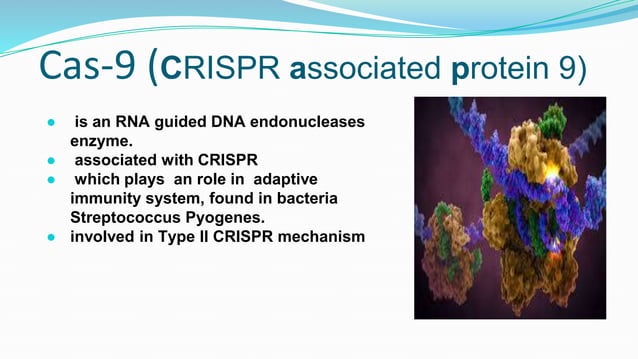 Crispr cas9 ppt (1) | PPTX