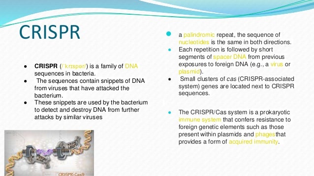 Crispr cas9 презентация