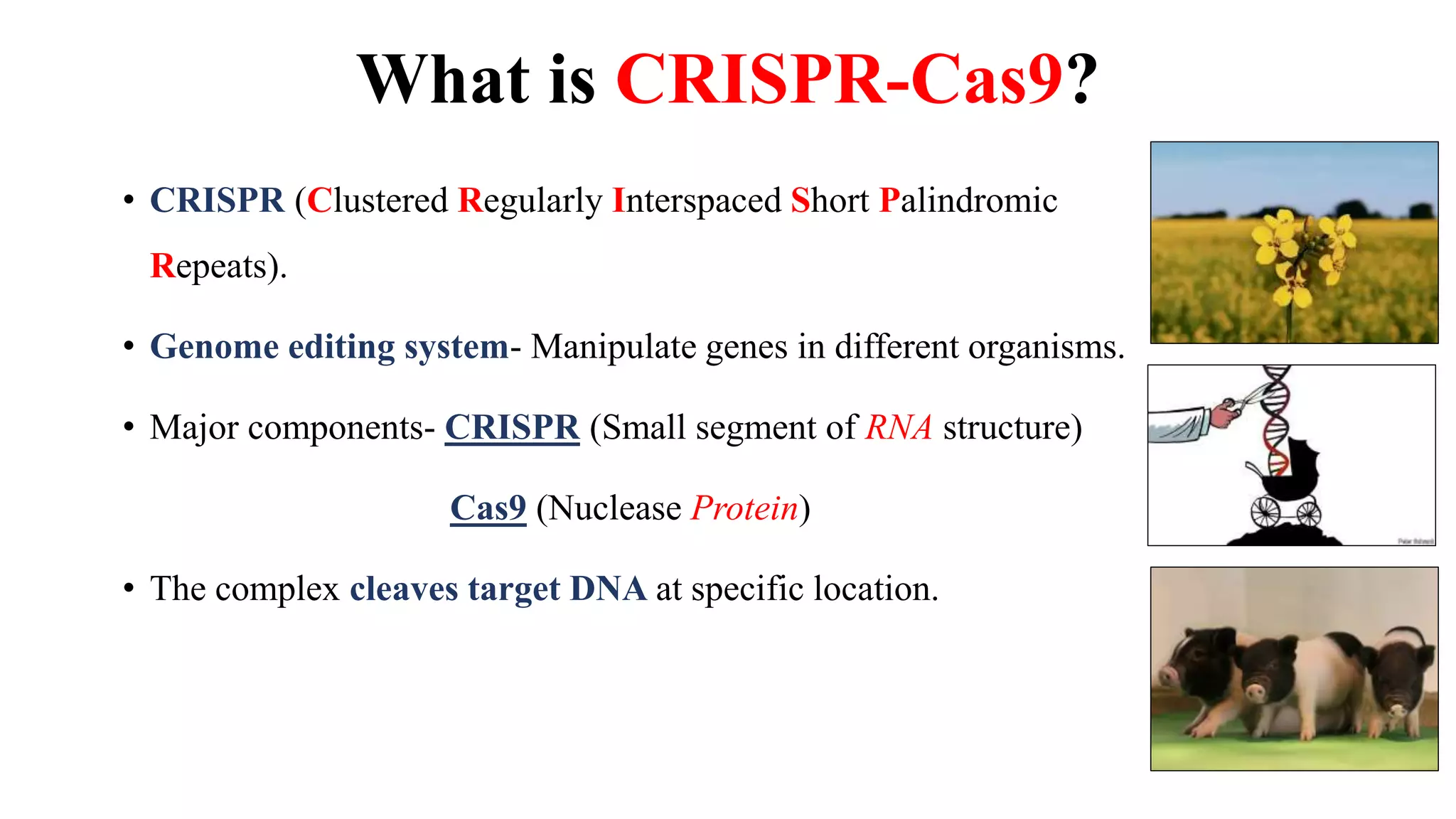 Crispr-Cas9 technology | PPTX