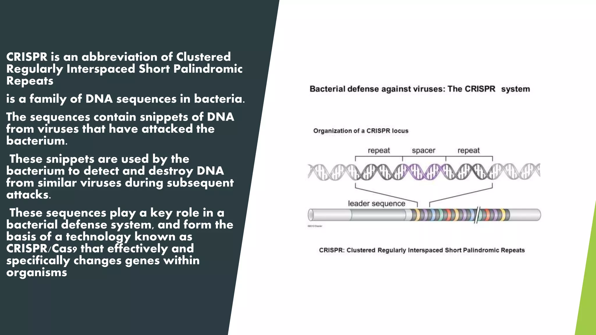 Crispr cas9 technology | PPTX