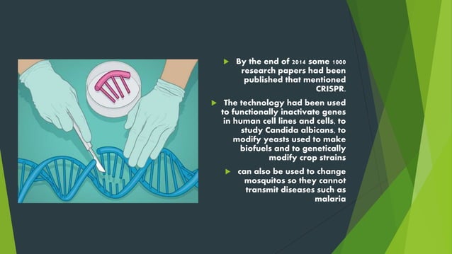 Crispr cas9 technology | PPTX | Programming Languages | Computing