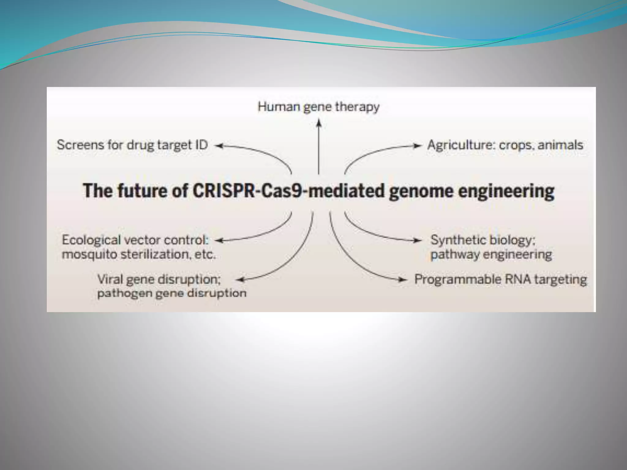 Crispr cas system | PPTX
