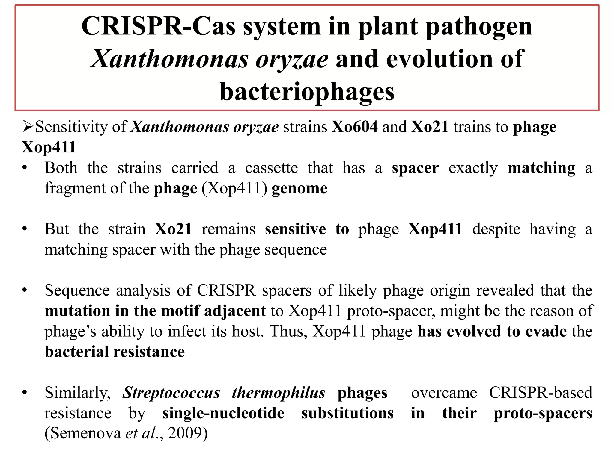 CRISPR cas system | PPTX