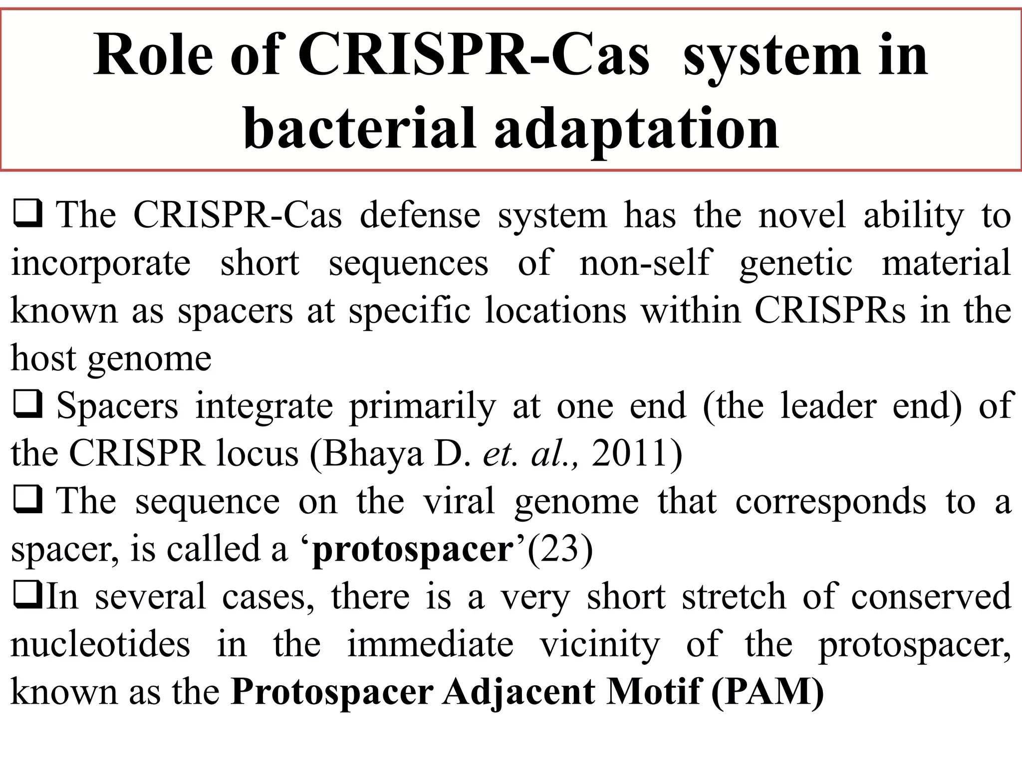 CRISPR cas system | PPTX | Genetics | Science