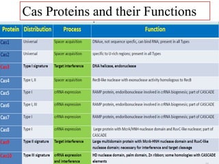 CRISPR cas system | PPTX