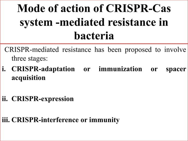 CRISPR cas system | PPTX | Genetics | Science