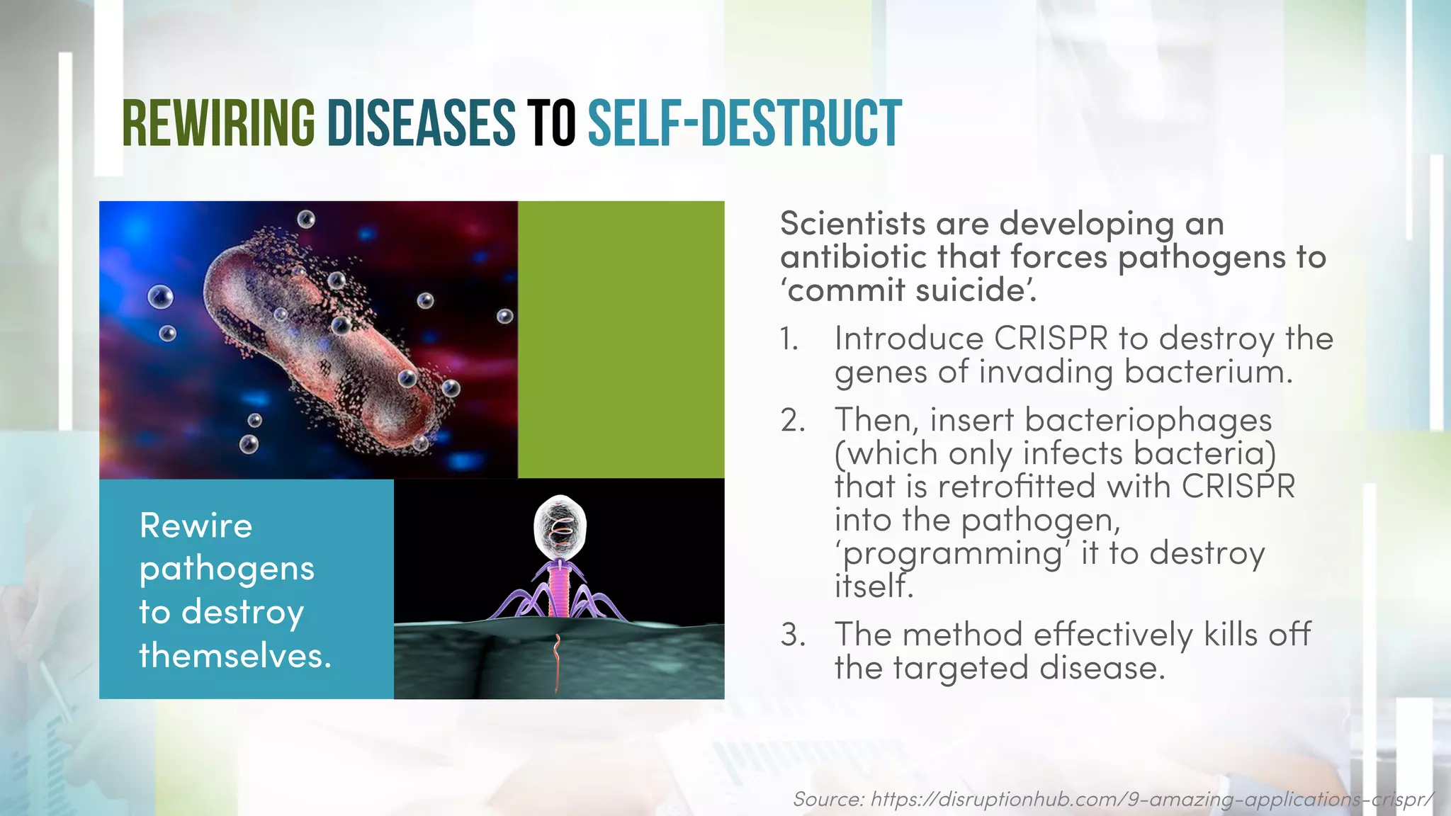 CRISPR: Discovery & Potential Applications | PDF