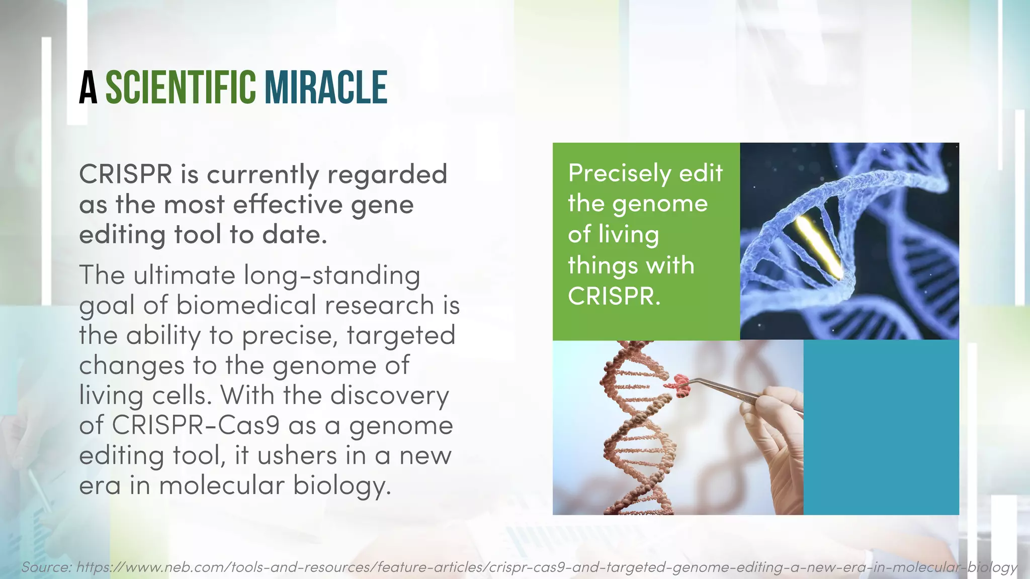 CRISPR: Discovery & Potential Applications | PDF