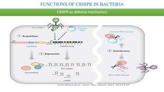 Crispr future prospects in public health | PPT