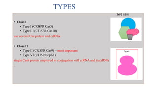 Crispr future prospects in public health | PPTX