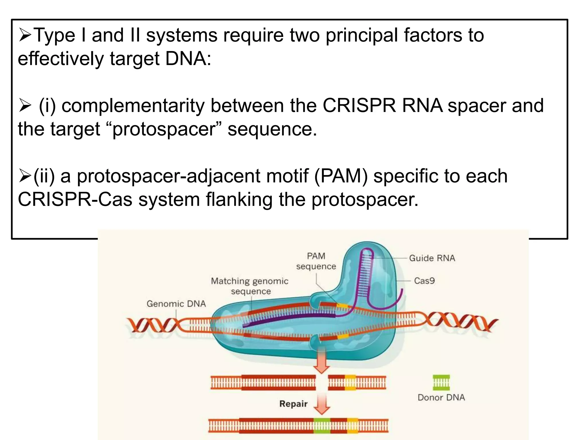 Crispr m.raveendra reddy | PPTX
