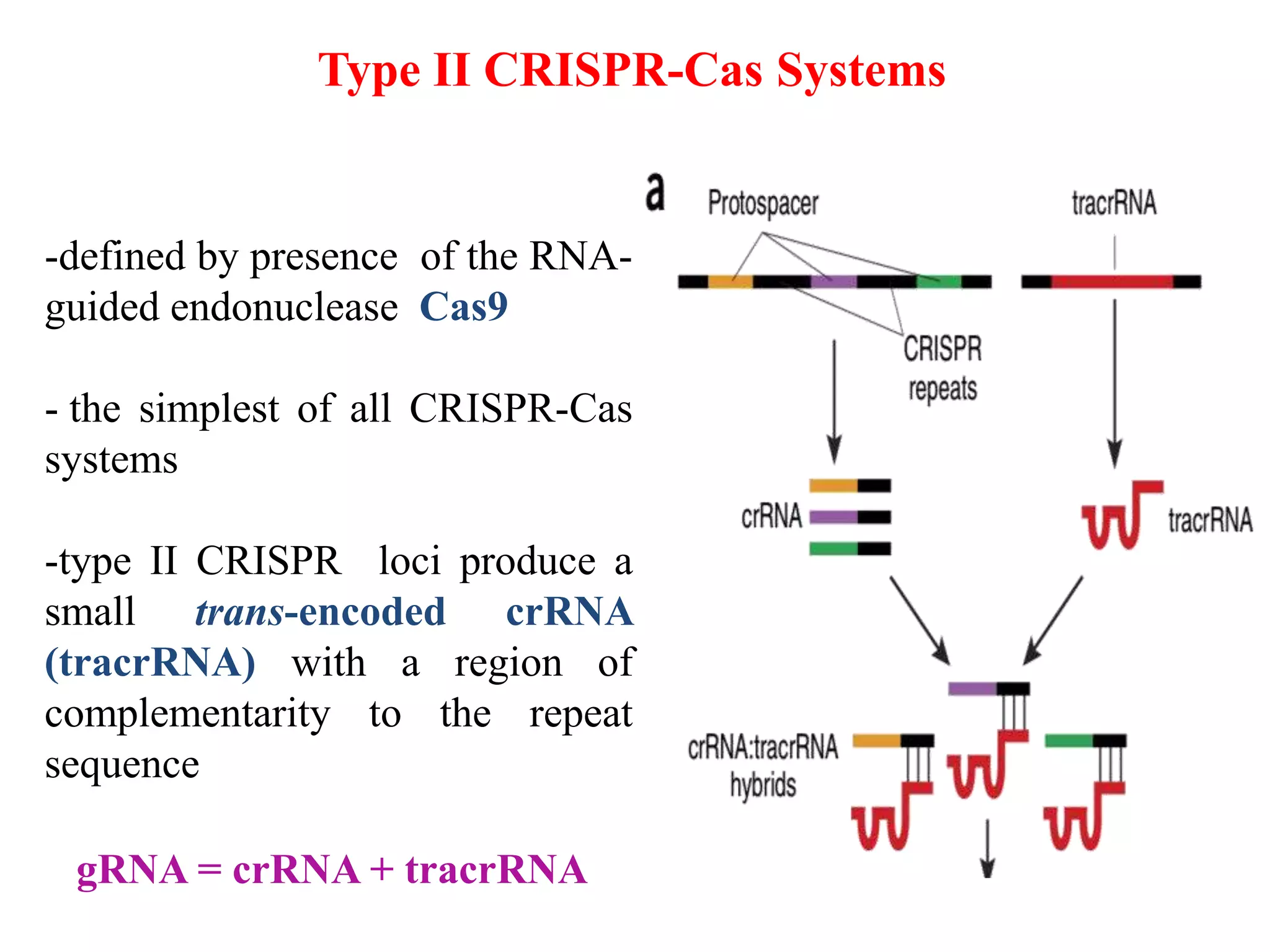 Crispr m.raveendra reddy | PPTX
