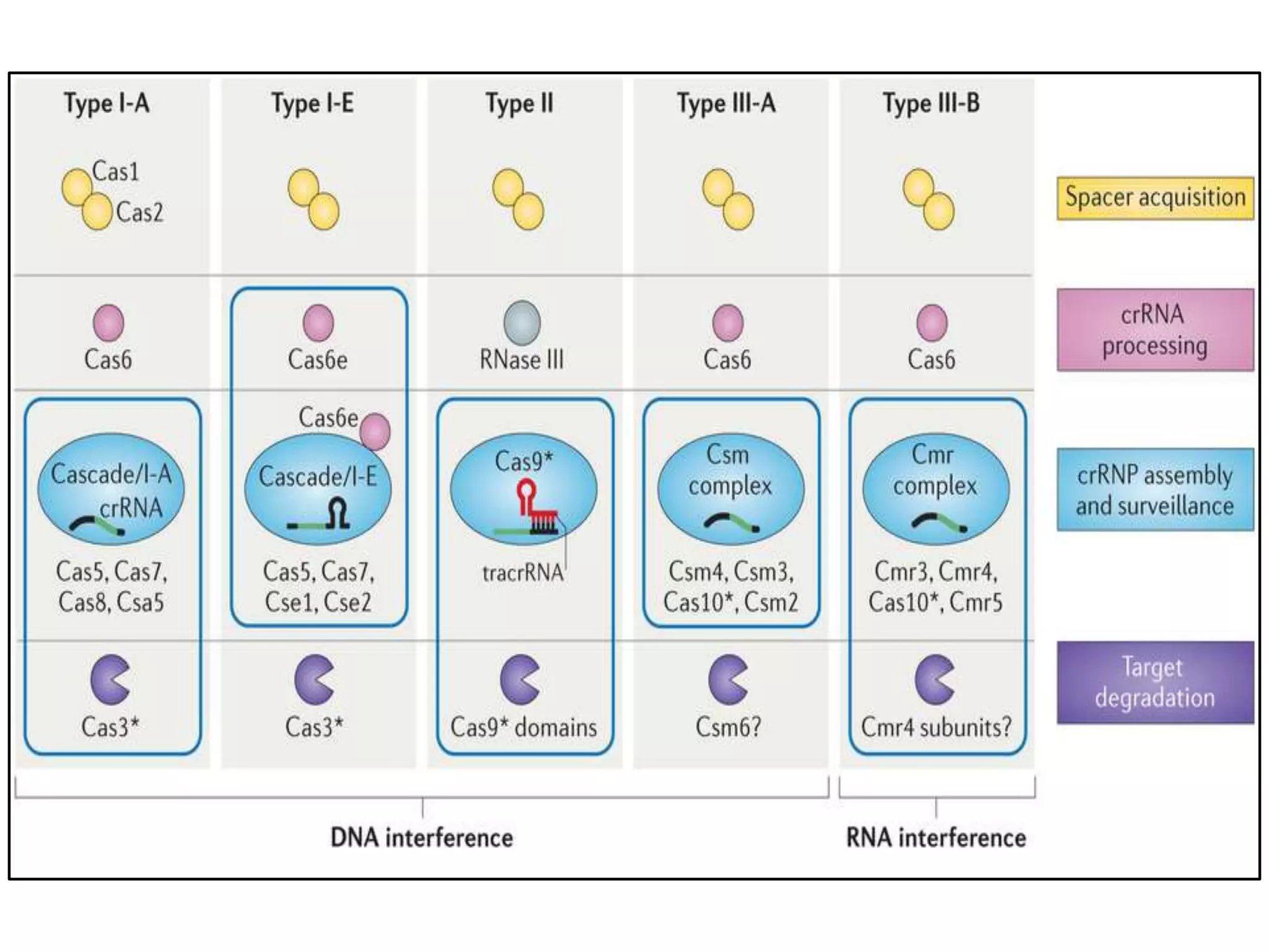 Crispr m.raveendra reddy | PPTX
