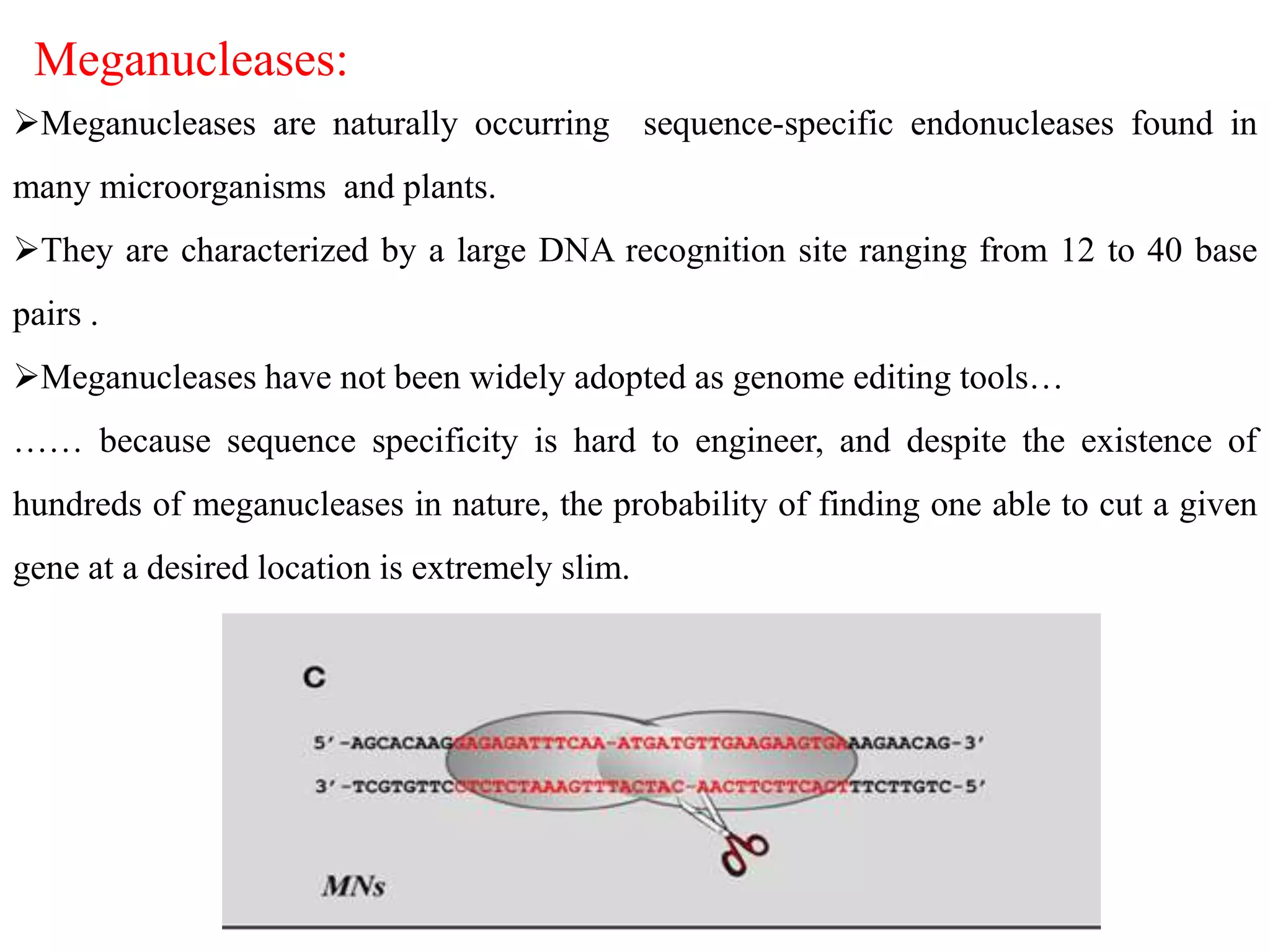 Crispr m.raveendra reddy | PPTX