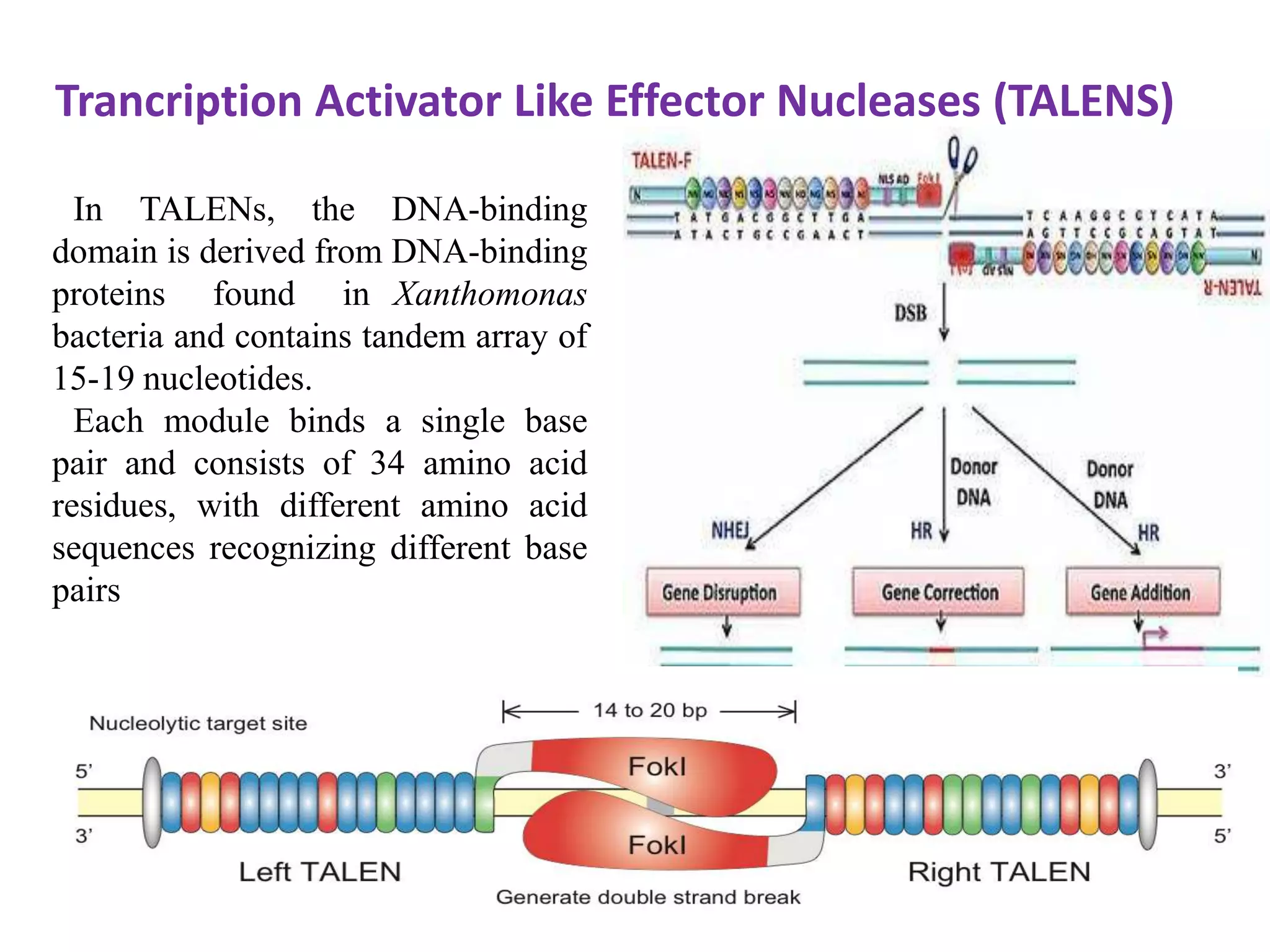 Crispr m.raveendra reddy | PPTX