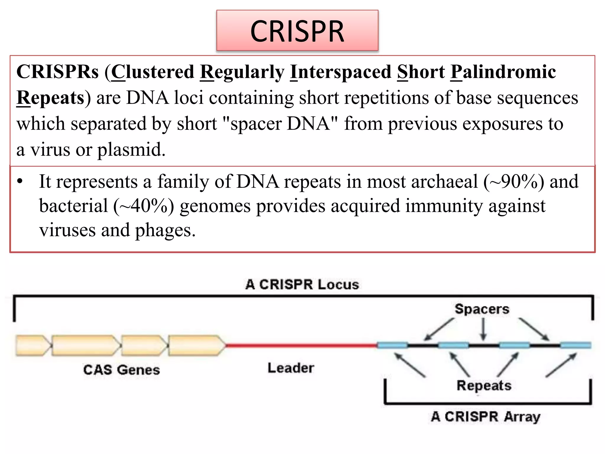 Crispr m.raveendra reddy | PPTX
