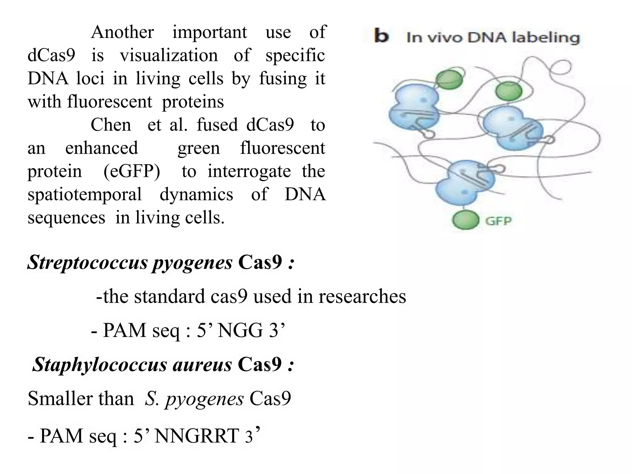 Crispr m.raveendra reddy | PPTX
