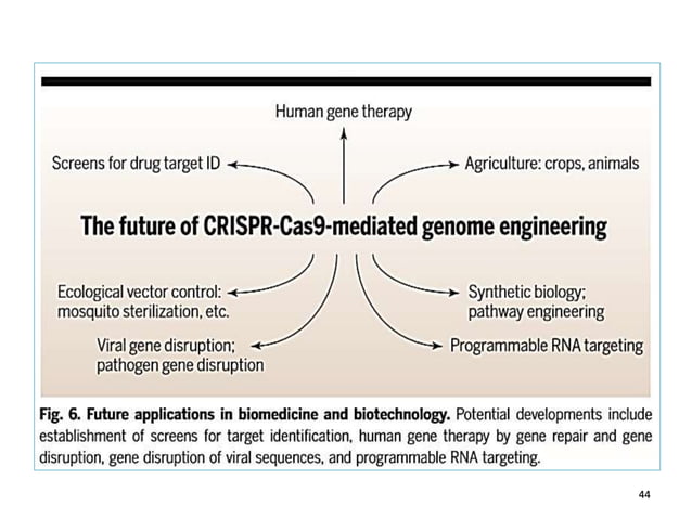 Crispr m.raveendra reddy | PPT
