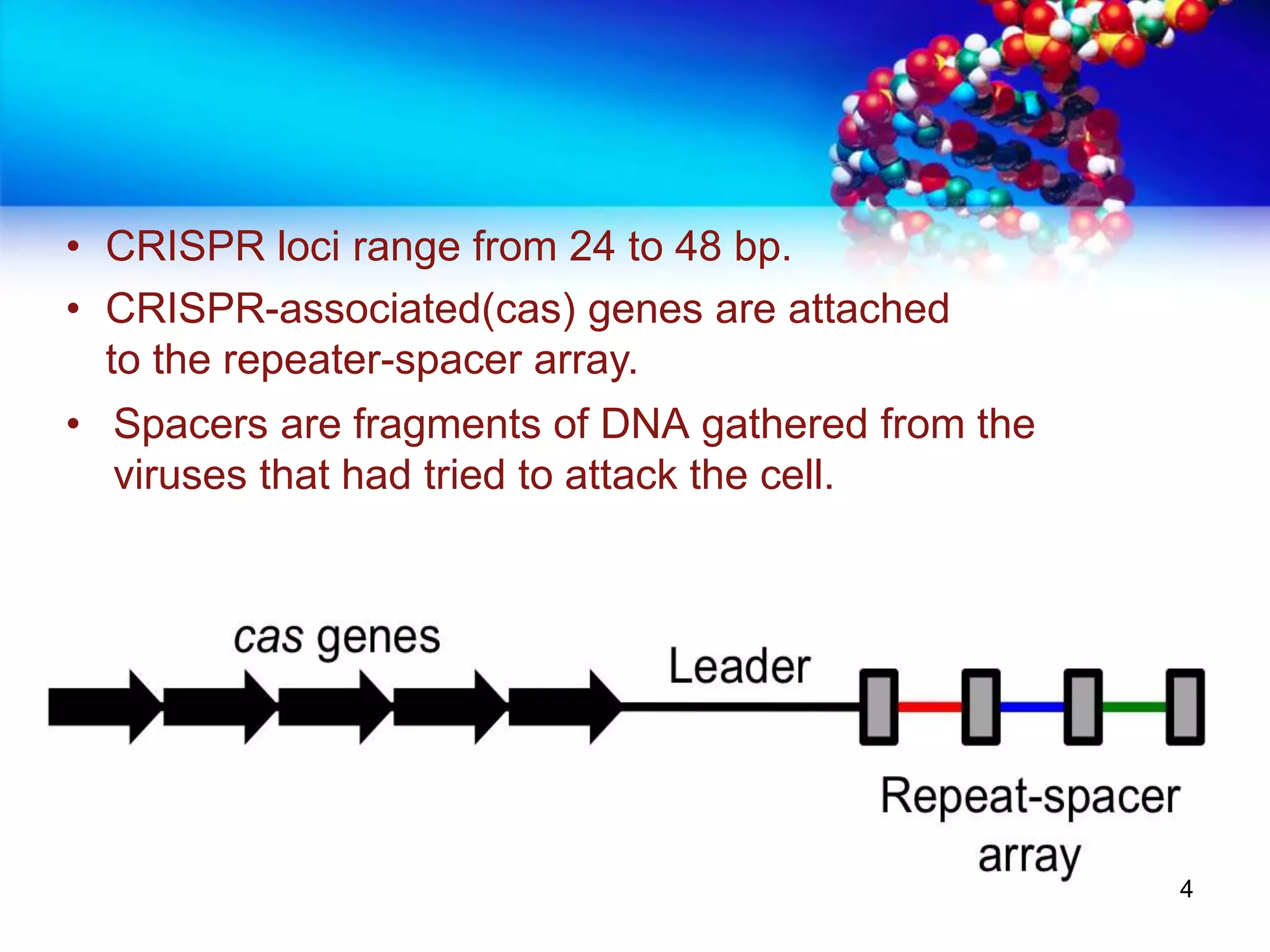 CRISPR technology -A revolutionary discovery | PPTX