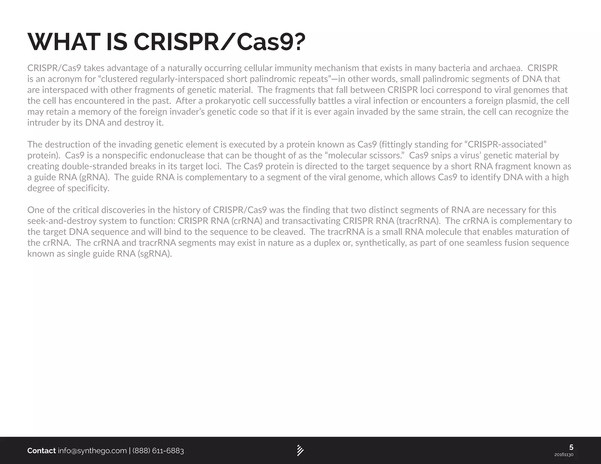 CRISPR+101.pdf