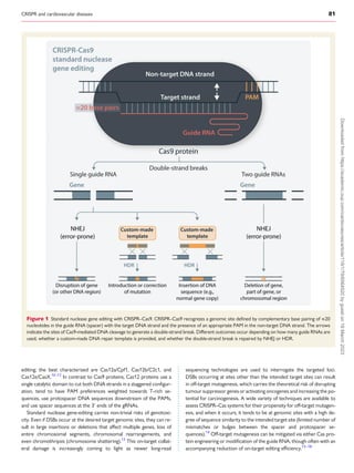 CRISPR and cardiovascular diseases.pdf