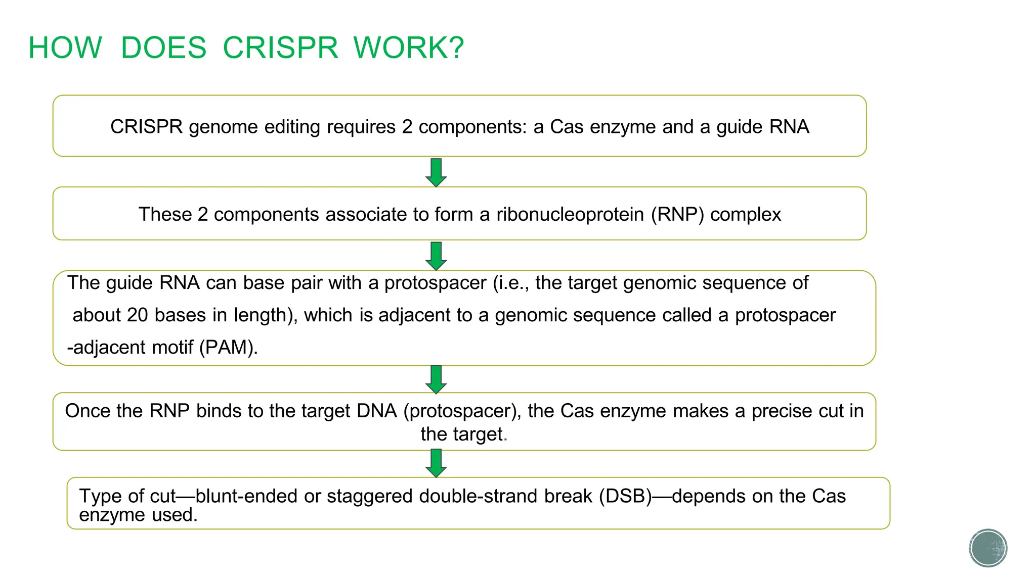 CRISPR AND ITS APPLICATION in modern era | PPTX