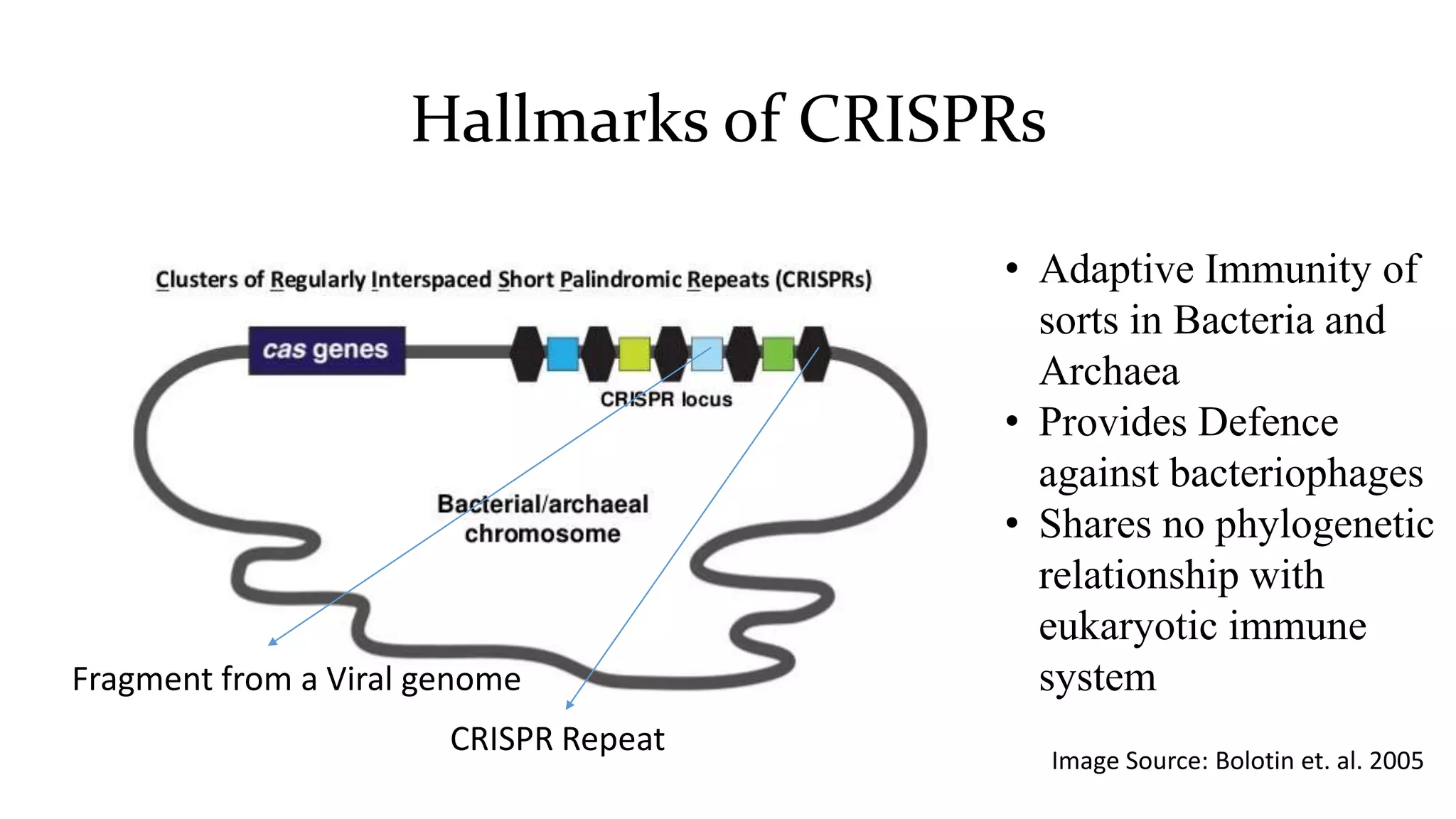 Crispr and superbugs | PPTX