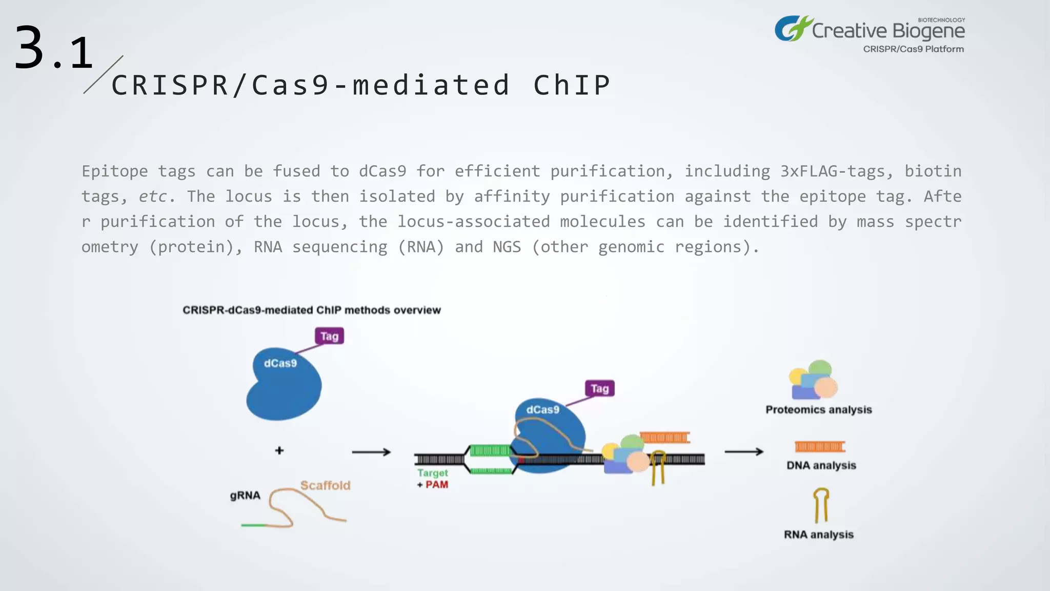 Crispr Application | PPT