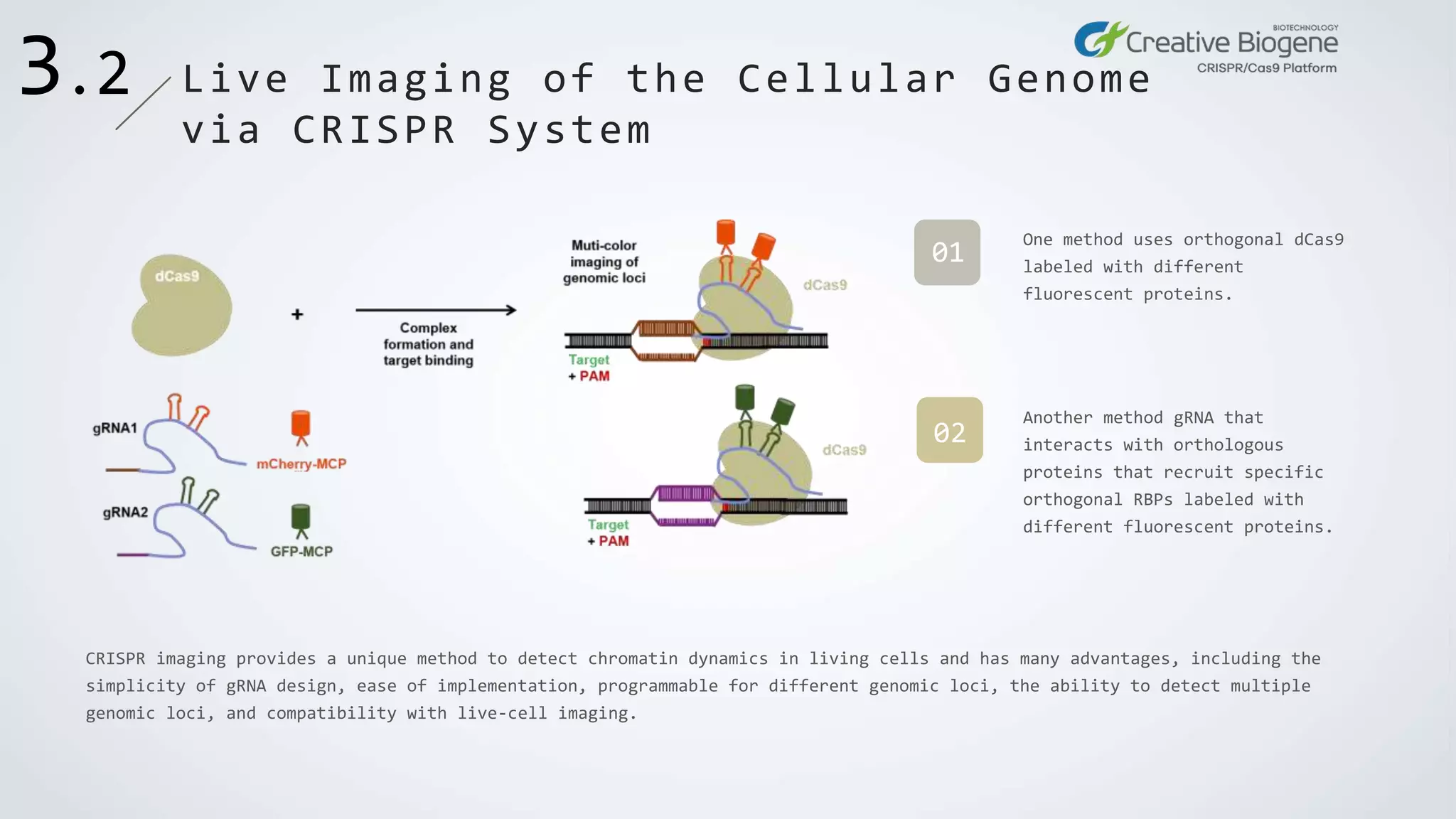 Crispr Application | PPTX