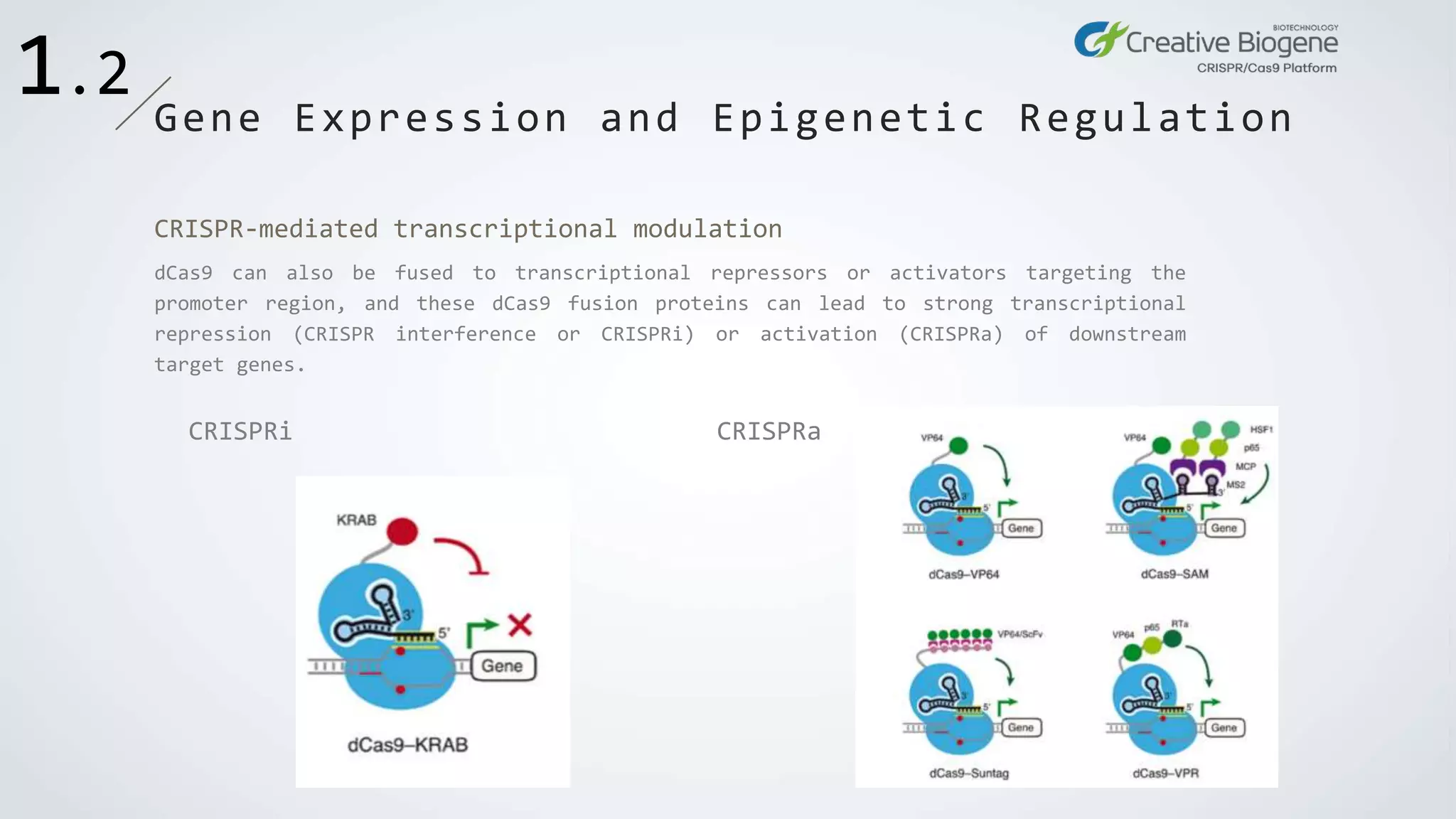 Crispr Application | PPTX