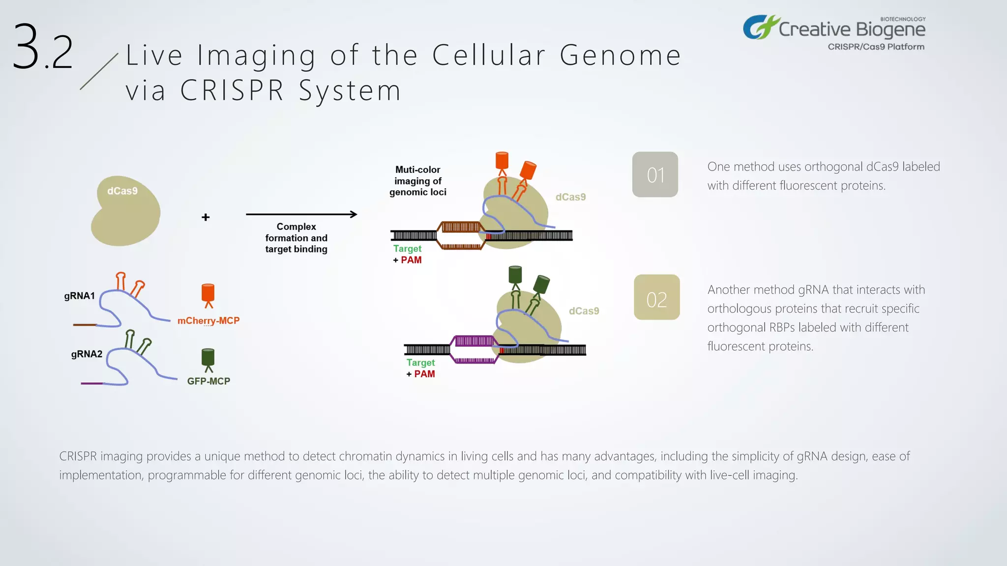 Crispr application | PDF