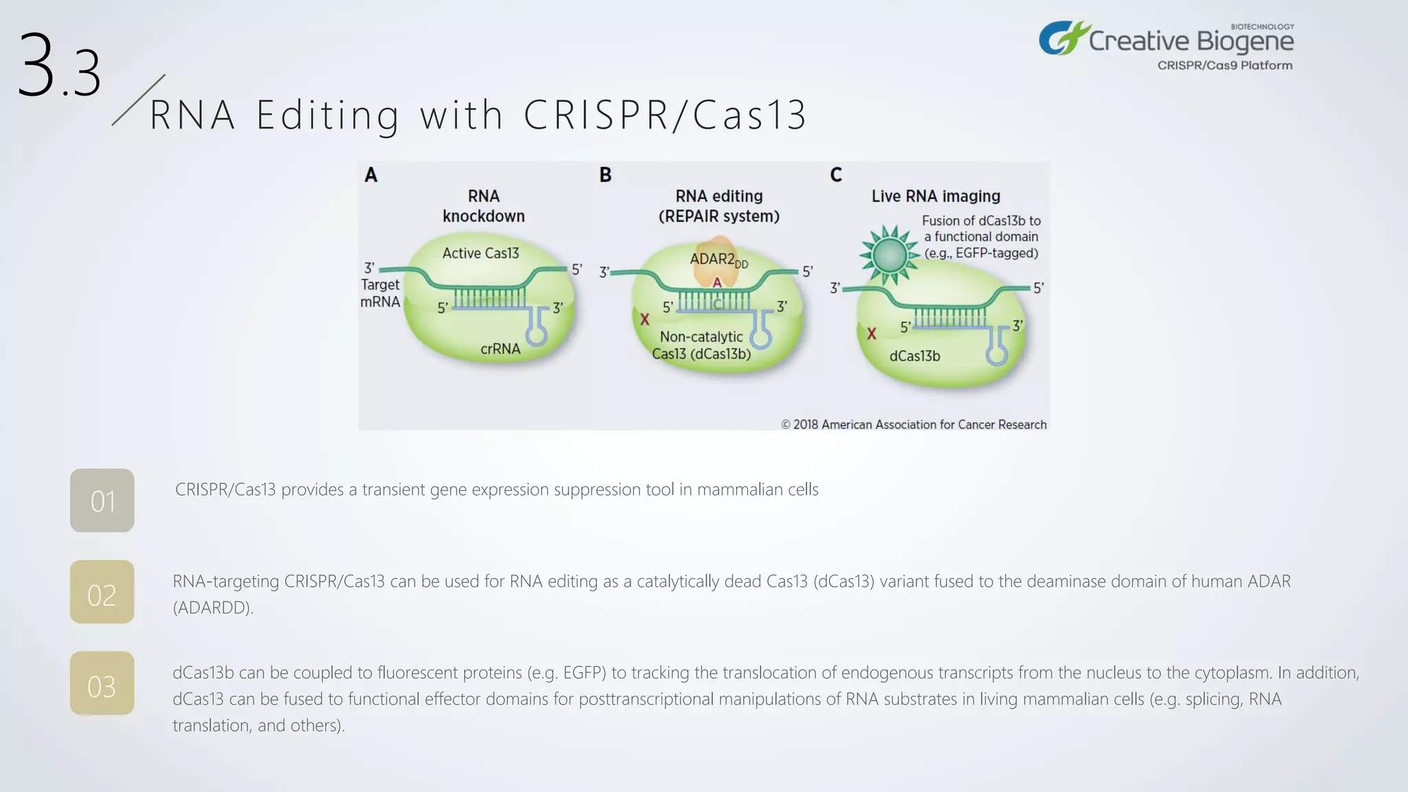 Crispr application | PDF
