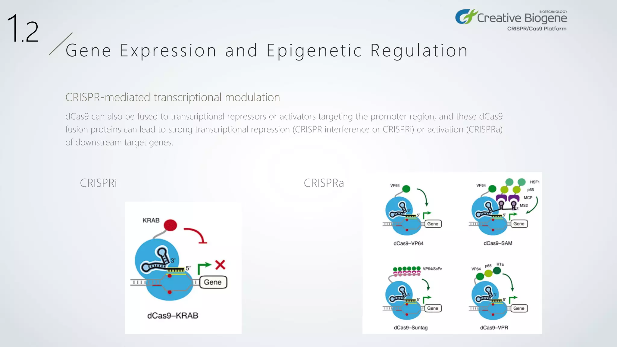 Crispr application | PDF