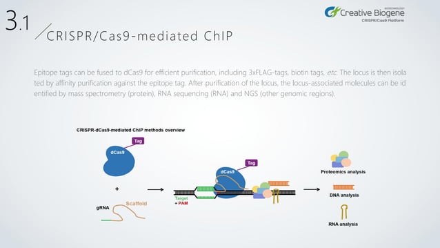 Crispr application | PPT