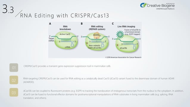 Crispr application | PPT