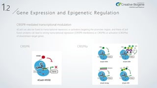 Crispr application | PDF