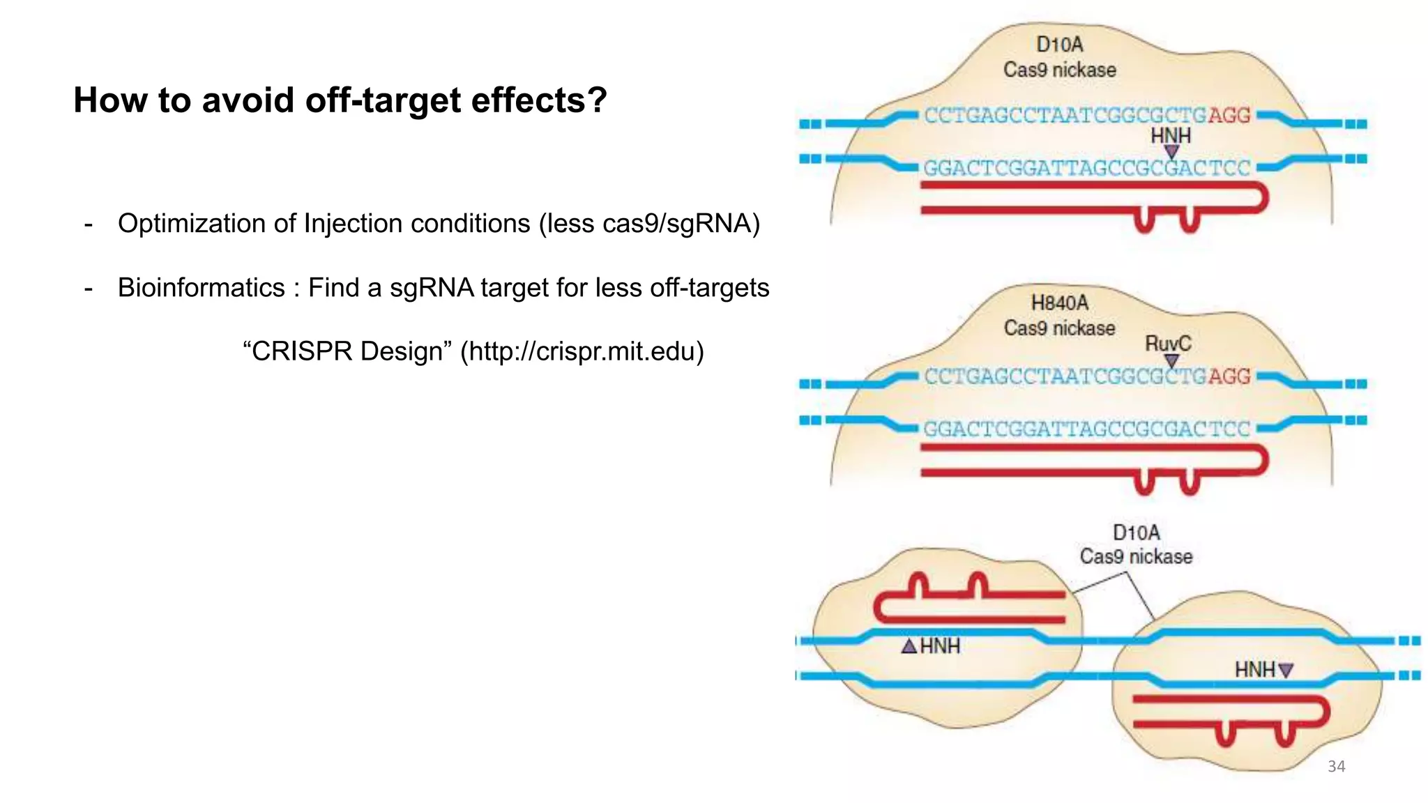 Crispr cas: A new tool of genome editing | PPTX