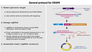 Crispr cas: A new tool of genome editing | PPTX