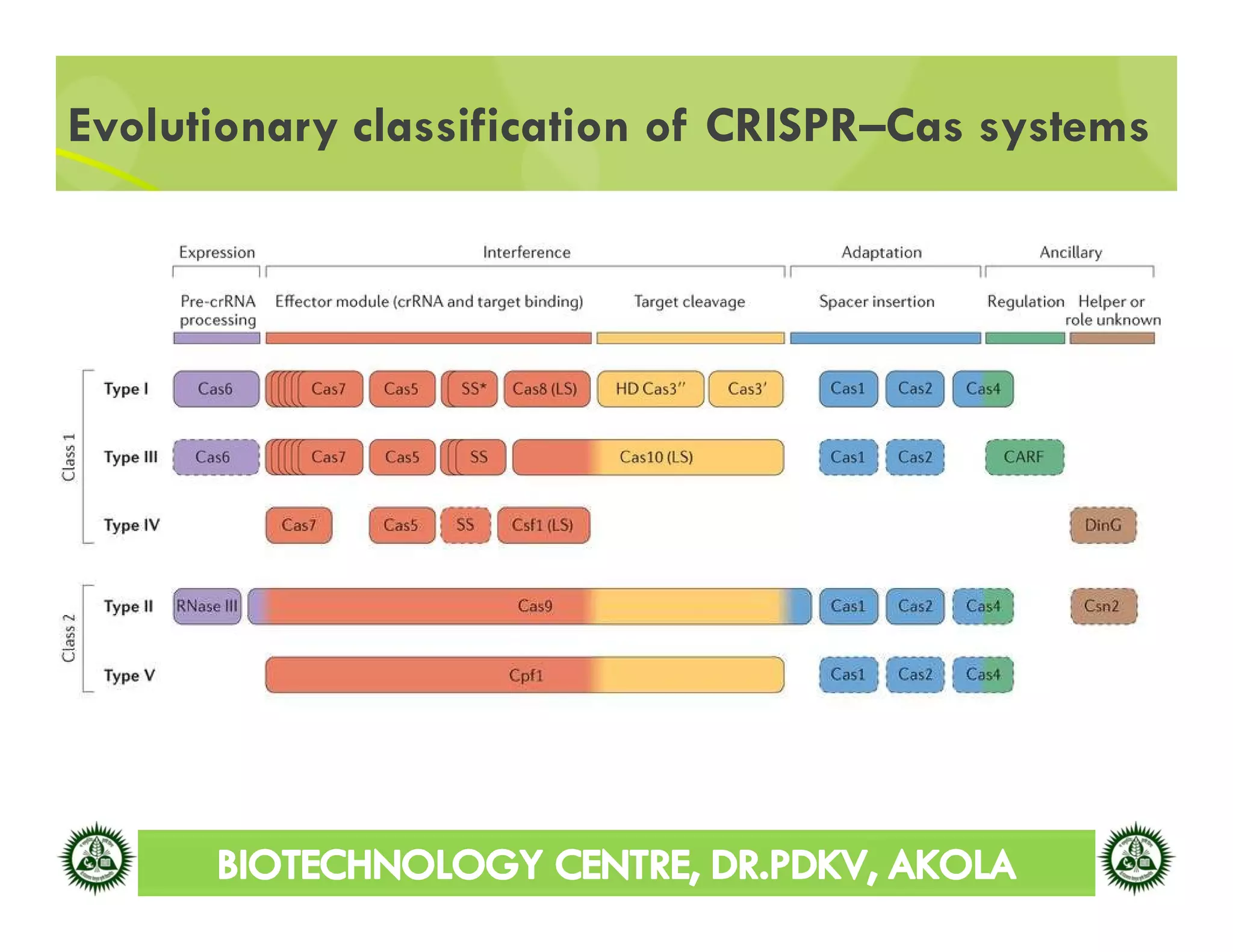 Crispr cas | PPT